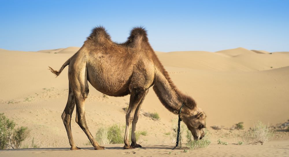 Medicare Part D Drug Plans: 4 Things You Need to Know - Fortende Health